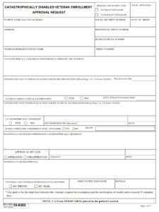 VA Form 10-0383 – Catastrophically Disabled Veteran Evaluation and ...